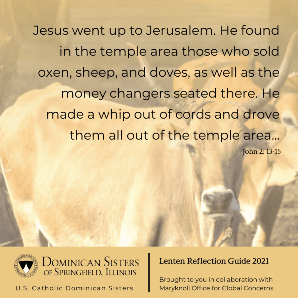 Third Week of Lent 2021 - Dominican Sisters of Springfield Illinois