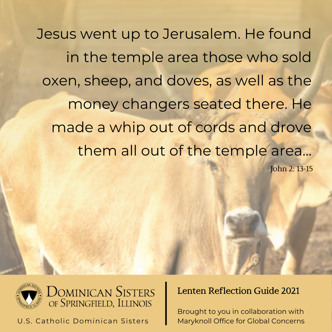 Third Week of Lent 2021 - Dominican Sisters of Springfield Illinois