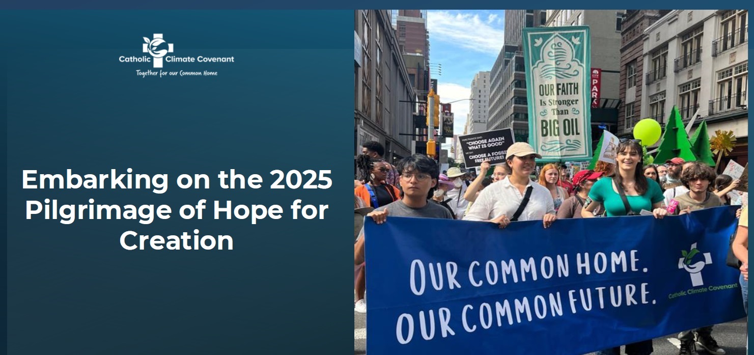 Reflection on our Year Three LSAP Plan - Dominican Sisters of ...