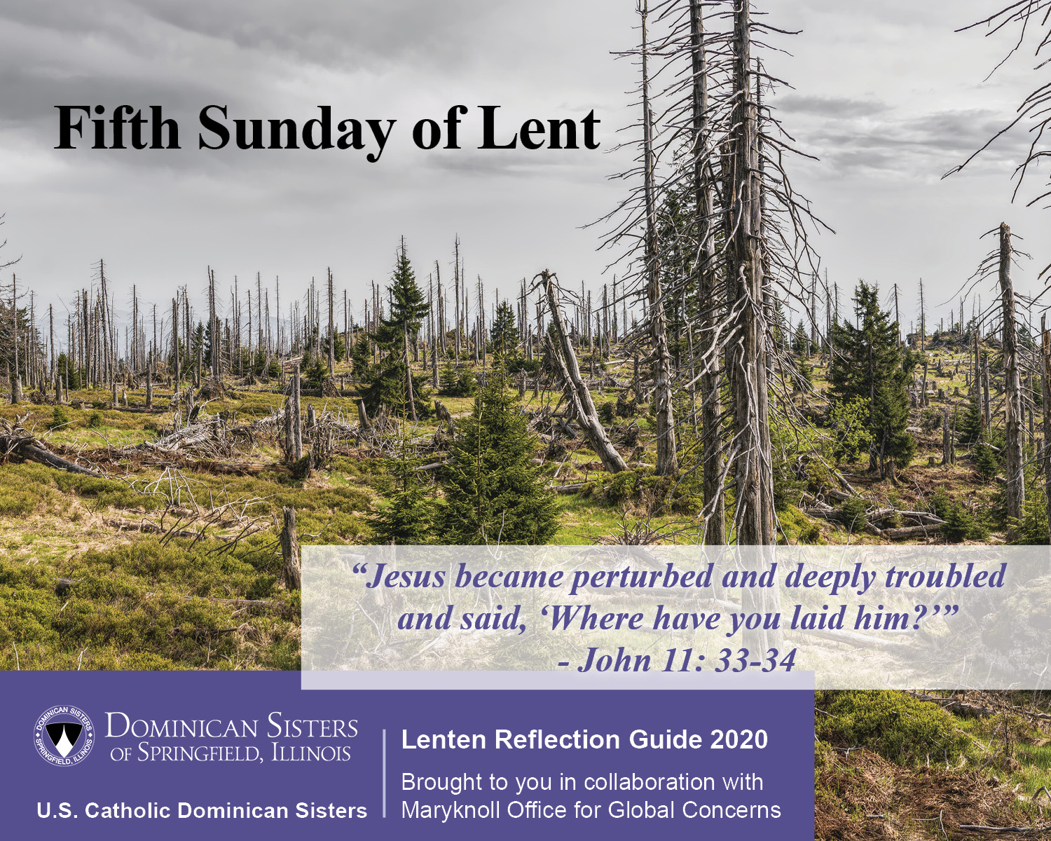 Fifth Sunday of Lent March 29, 2020 - Dominican Sisters of Springfield ...