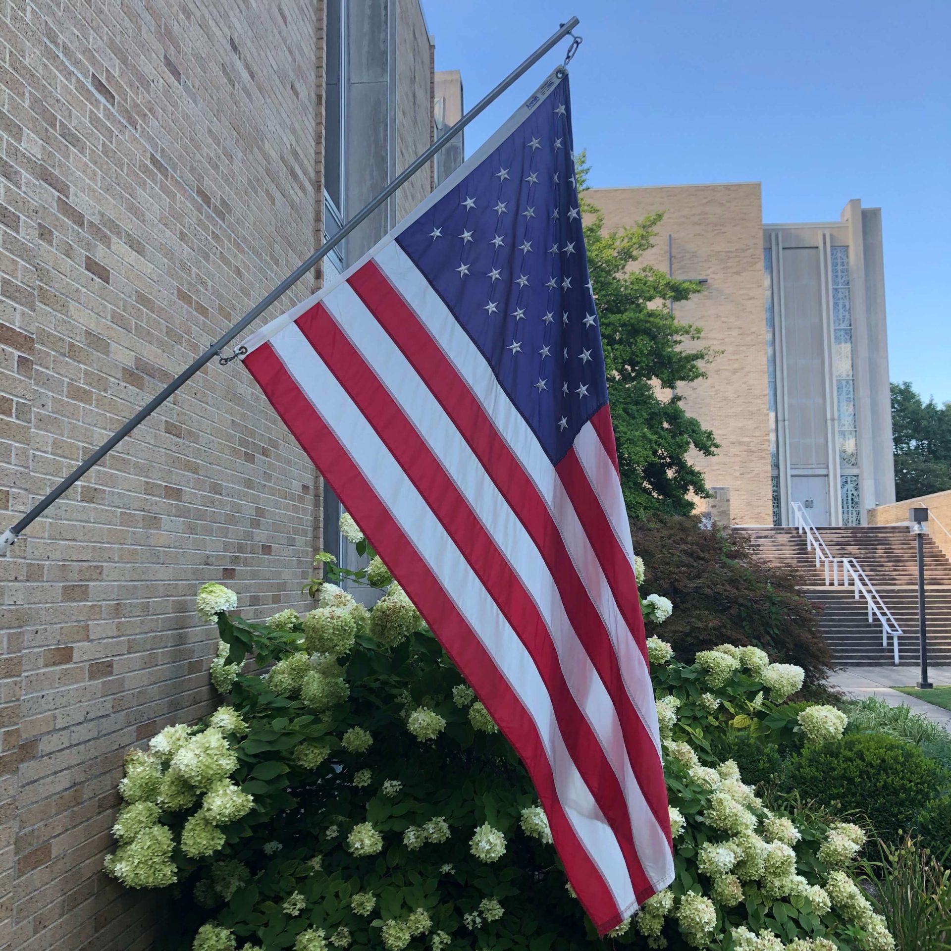 How to Plan Your Vote in Sangamon County - Dominican Sisters of ...