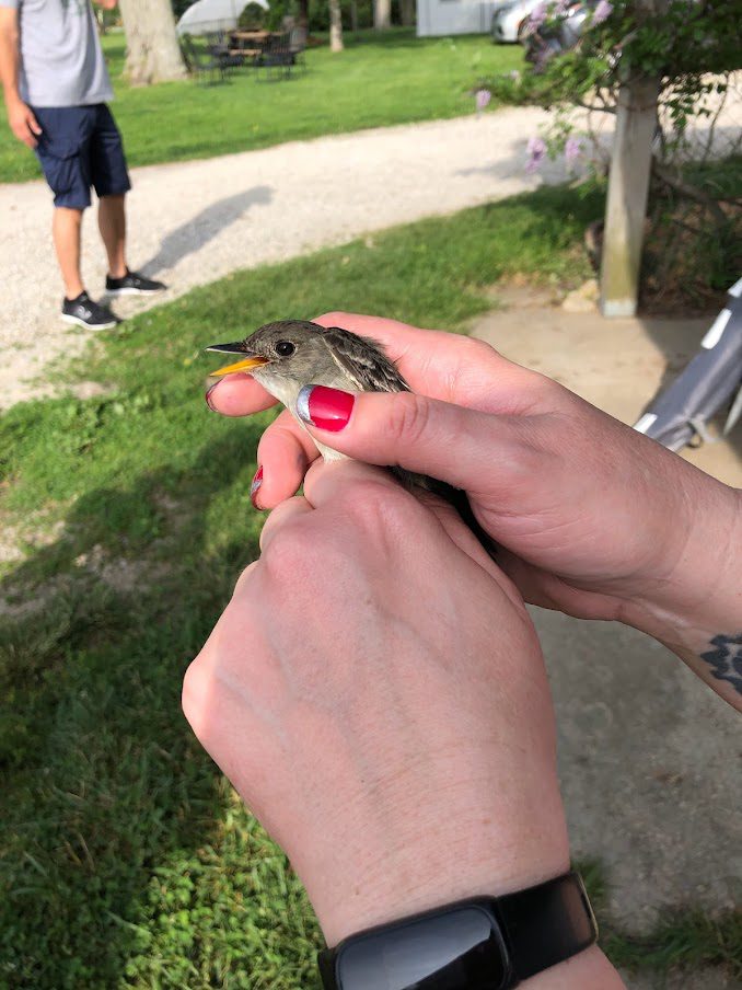 Spring Appeal 2024: “Jubilee Farm is Caring for Earth and Caring for ...