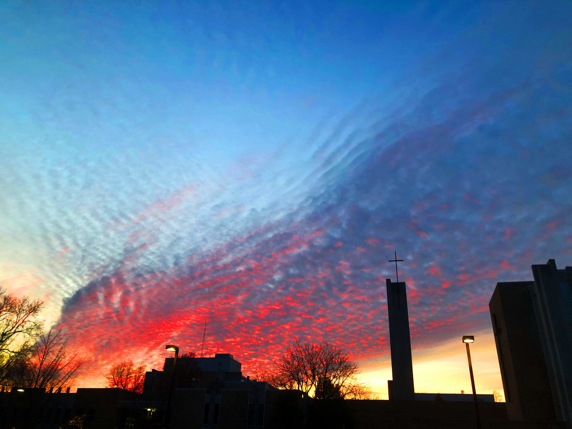 Listen. See. Respond. - Dominican Sisters of Springfield Illinois